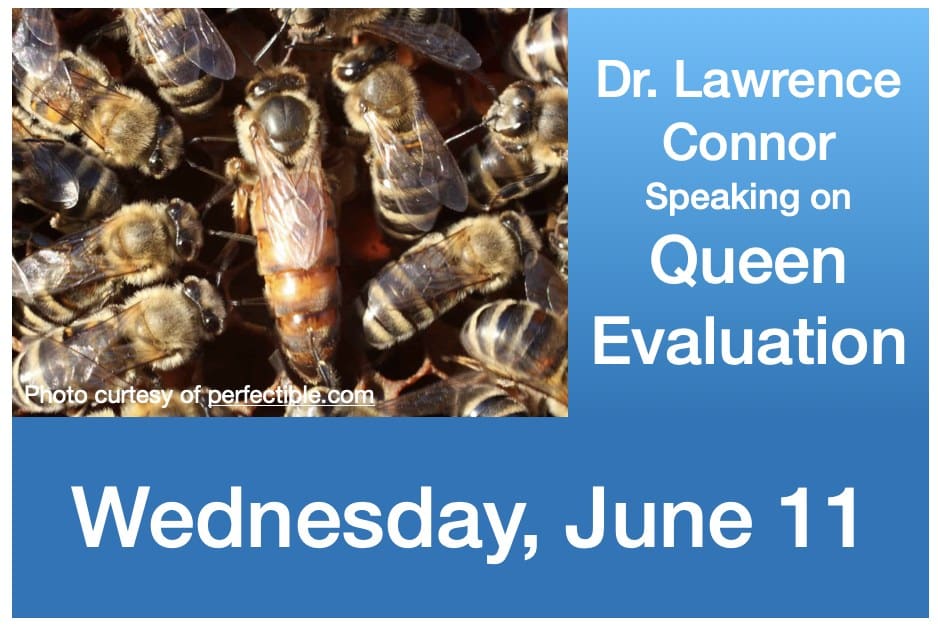 Queen Evaluation with speaker Dr. Lawrence Connor – NowKalamazoo